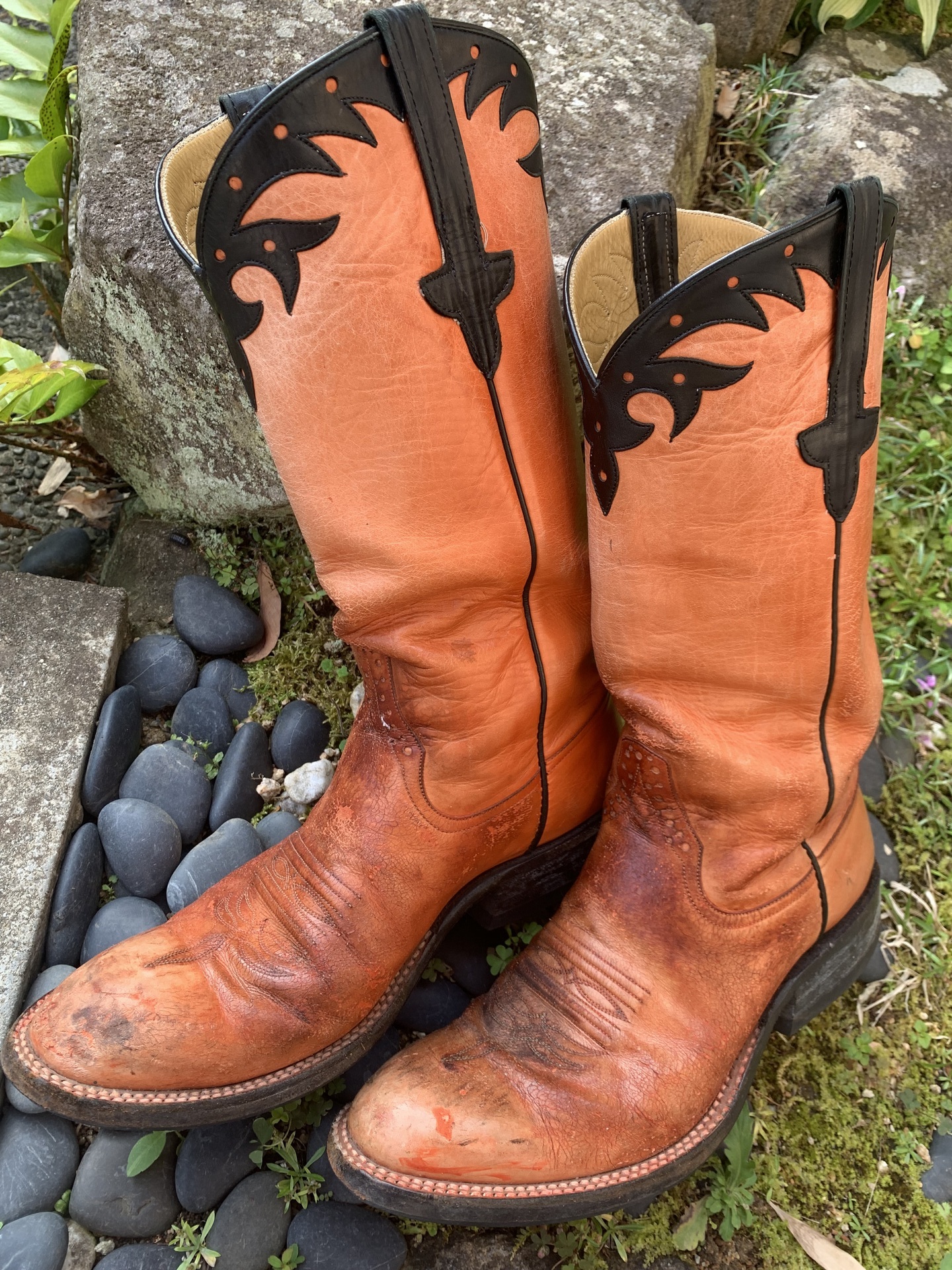 リオスオブメルセデス履き込み報告: SamuraiBoots