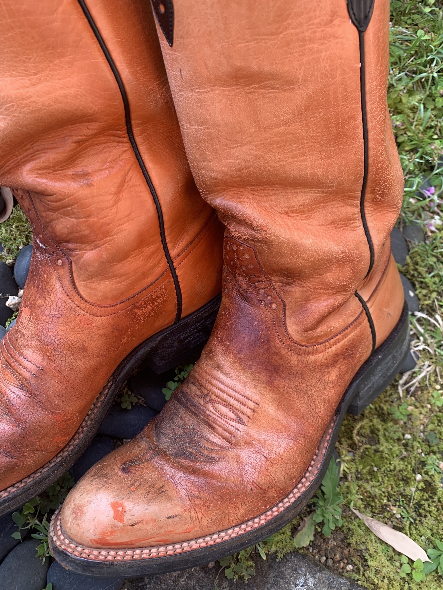 リオスオブメルセデス履き込み報告: SamuraiBoots